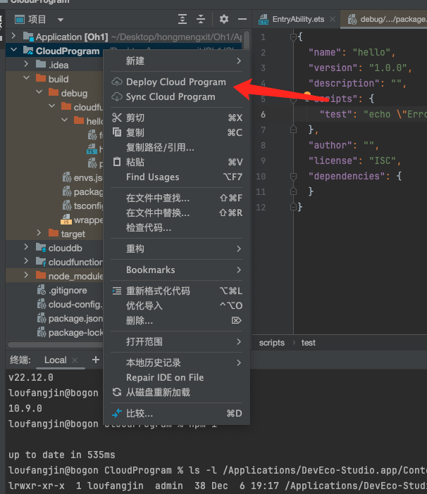 云发布失败Deploy failed. Reason， 无法发布-华为开发者问答 | 华为开发者联盟
